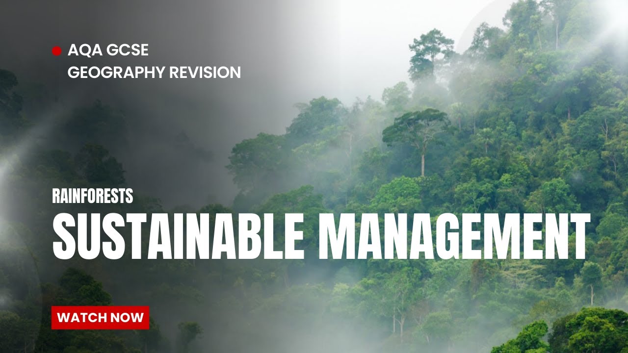 AQA Geography sustainable management of rainforests. - YouTube