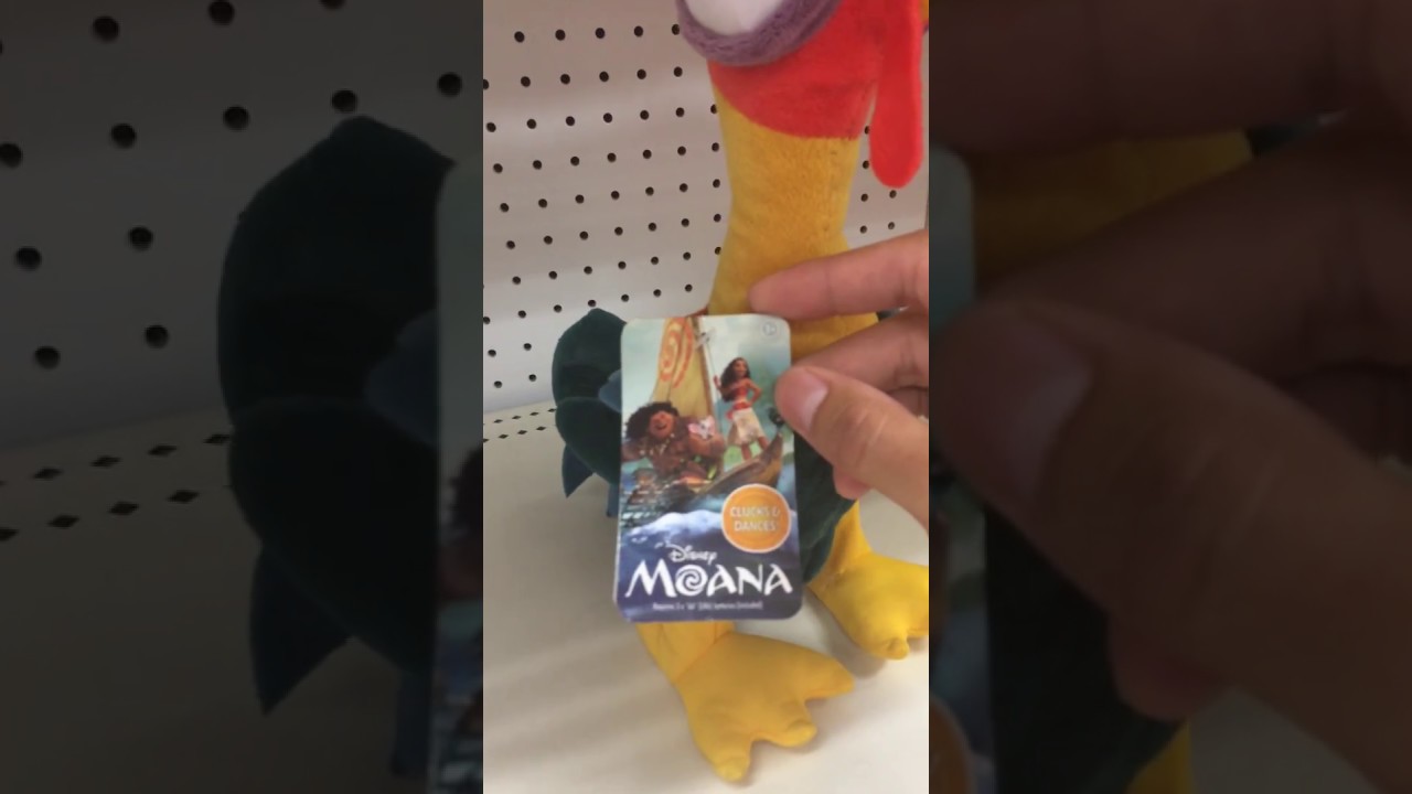 Disney Moana "Hei Hei" - YouTube