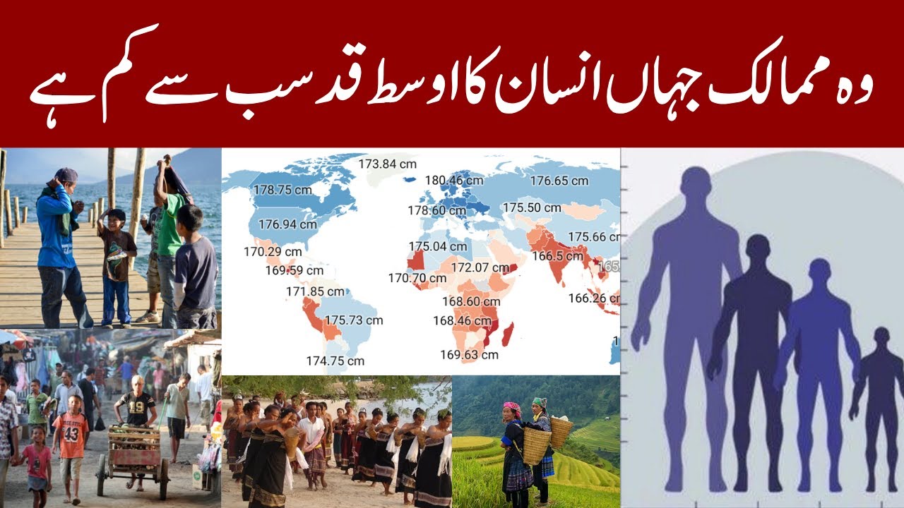 Top 5 Countries with the Shortest Average Height in the World - YouTube