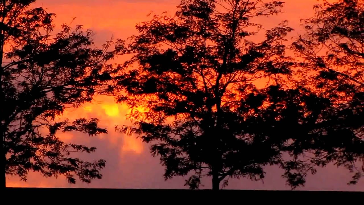 Sun playing hide & seek with clouds & trees - sunset scene - YouTube