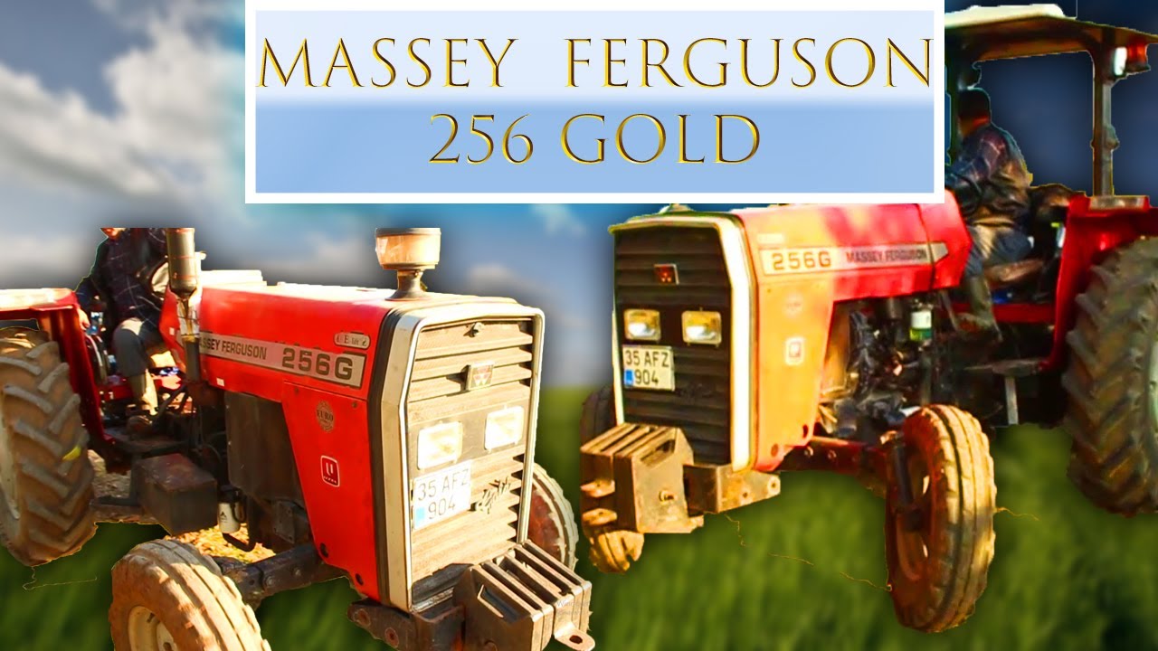 MASSEY FERGUSON 256 GOLD | PULLUK İLE TARLA SÜRÜMÜ! -ÜNLÜ PULLUK- - YouTube