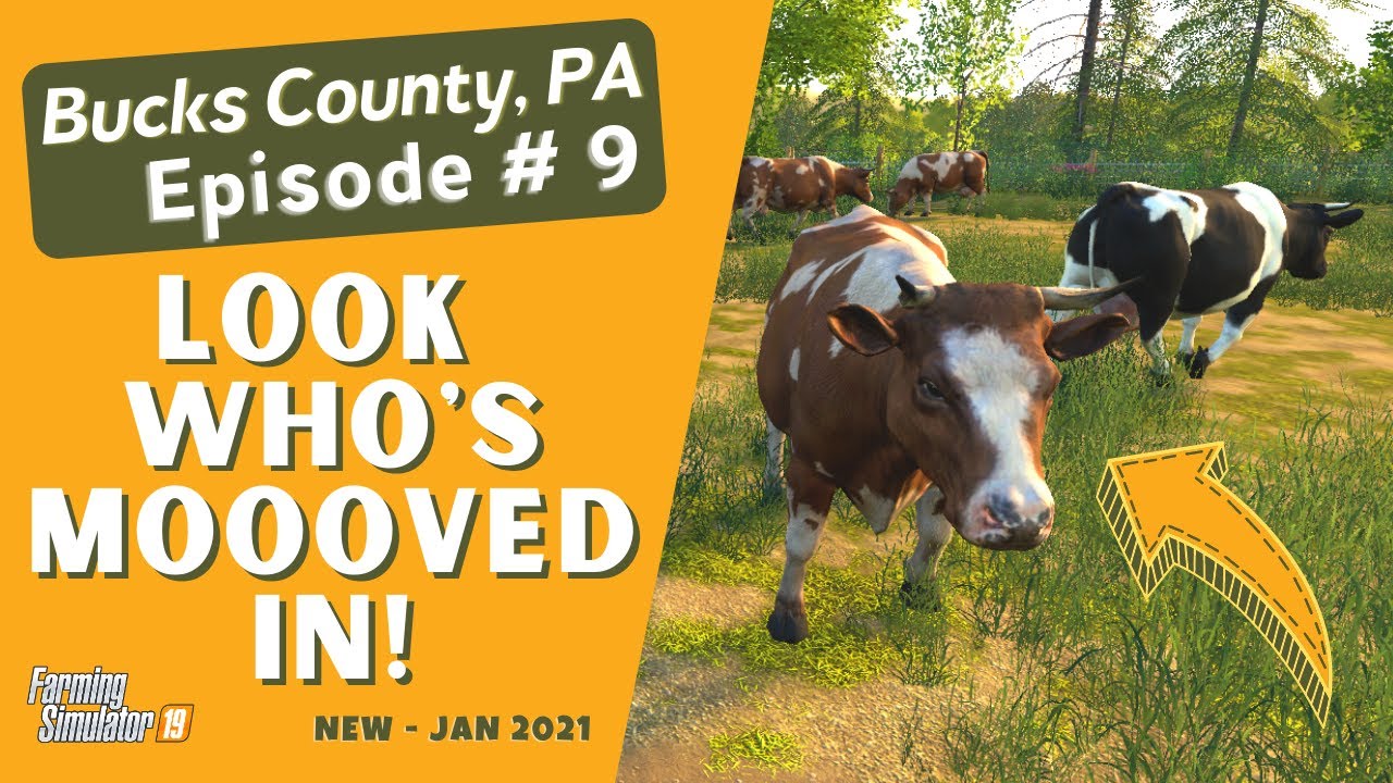 BUCKS COUNTY PA | FS19 | Ep #9 (The cows have arrived) - YouTube