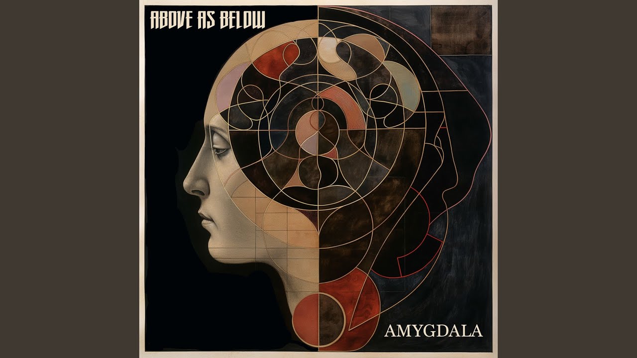 Amygdala - YouTube