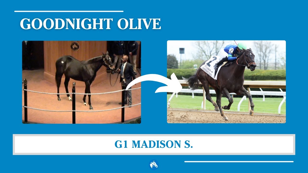 2x Breeders' Cup Filly & Mare Sprint winner GOODNIGHT OLIVE at Kentucky ...