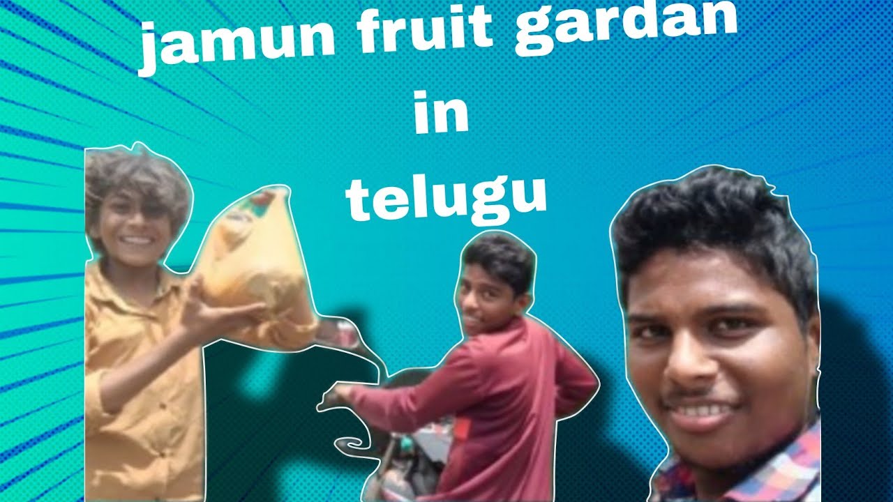 jamun fruit gardan |neredu pandu thota | food's scerch - YouTube