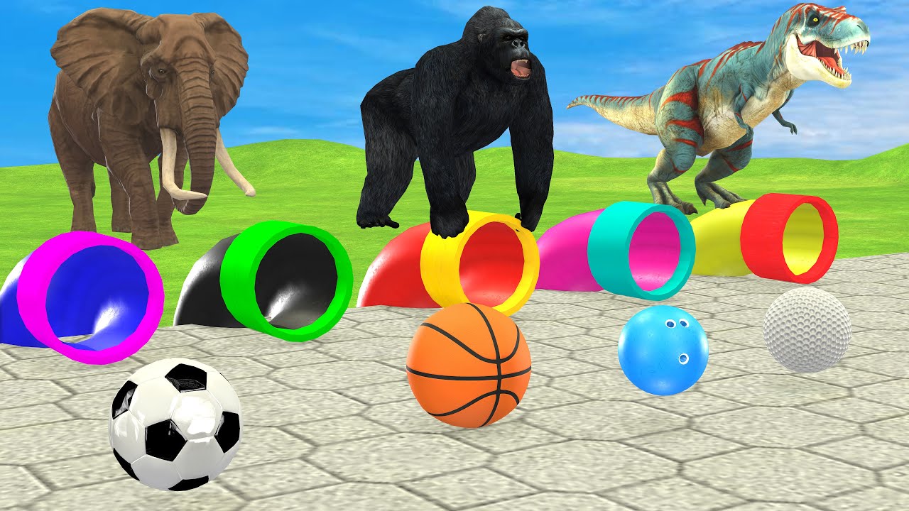 Cow Elephant Gorilla Dinosaur Choose the Right water pipe Game Wild ...
