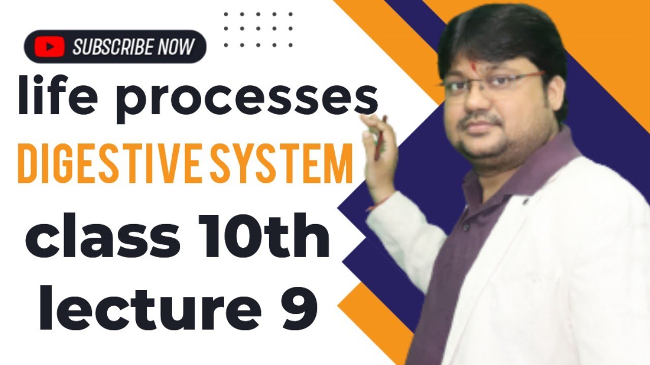 Digestive System in Human #class_10 | CBSE #lecture_9 #science Chap - 6 ...