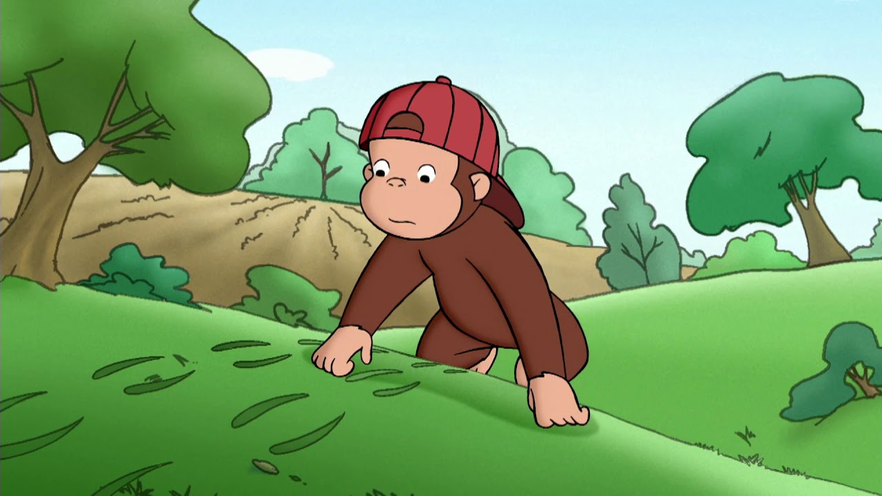Rabbits on The Run! 🐵Curious George 🐵Videos for Kids - YouTube