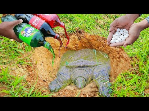 experiment:coca cola,fanta vs mentos catch turtles in underground hole ...