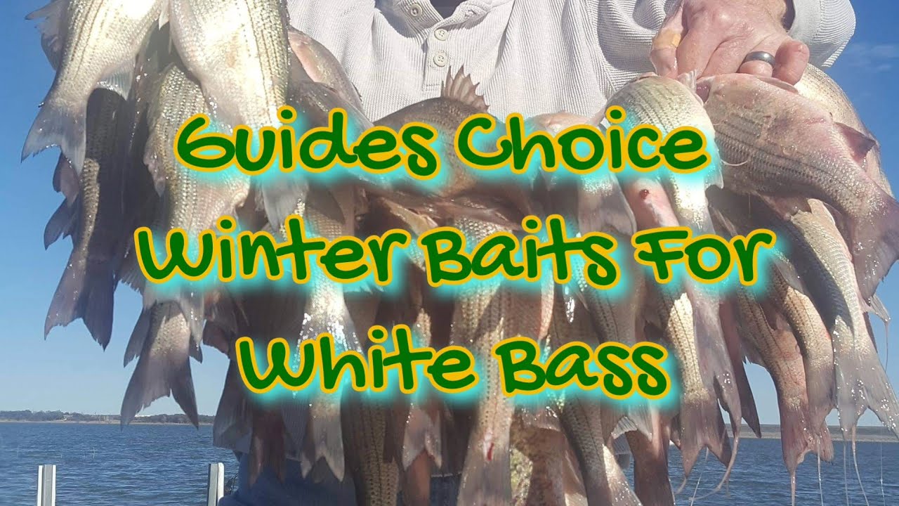 White Bass Fishing Lures, Winter Season - YouTube