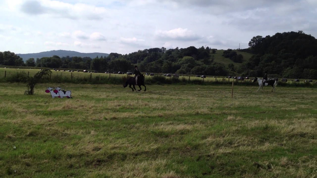 WORKING HUNTER CLASS, (first place) - YouTube