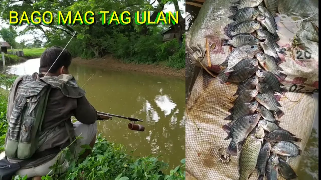 EP226 - PART3 tiksay fish hunting(TAG-ULAN#74)P3.TILAPIA hunting ...