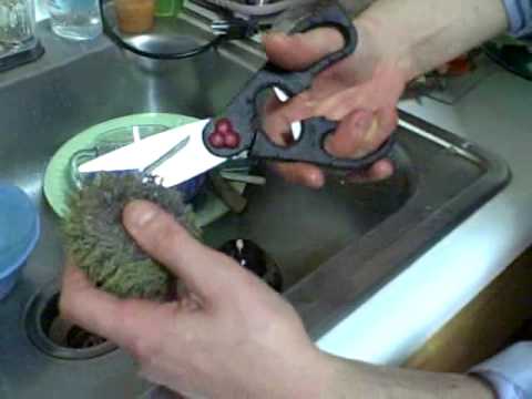 Chef Andrea Milazzo opens a Sea Urchin - YouTube