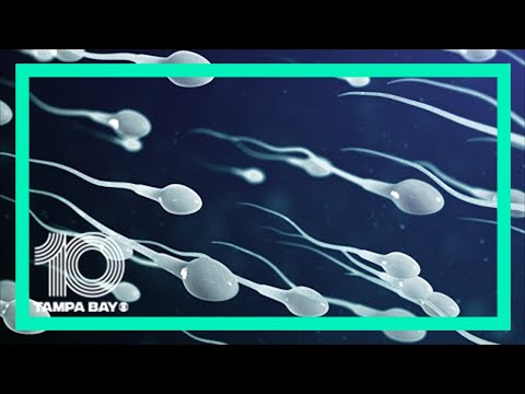 Brink of a fertility crisis: Scientist says plummeting sperm counts caused by everyday products