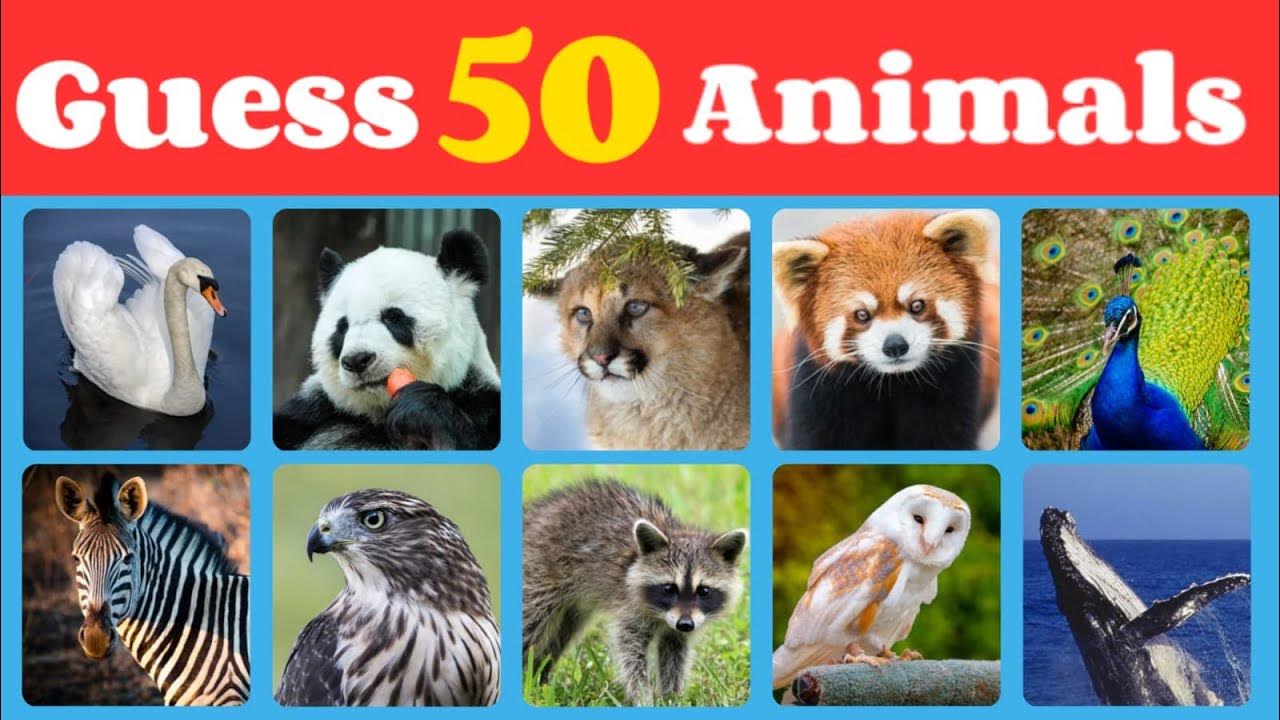 Animal Guessing Game! 🐾 Can You Identify Creatures from Mysterious ...