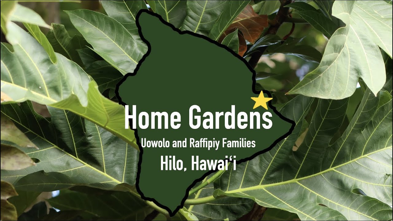 Home Gardens in Hilo | Hawaiʻi Agroforestry Case Studies - YouTube