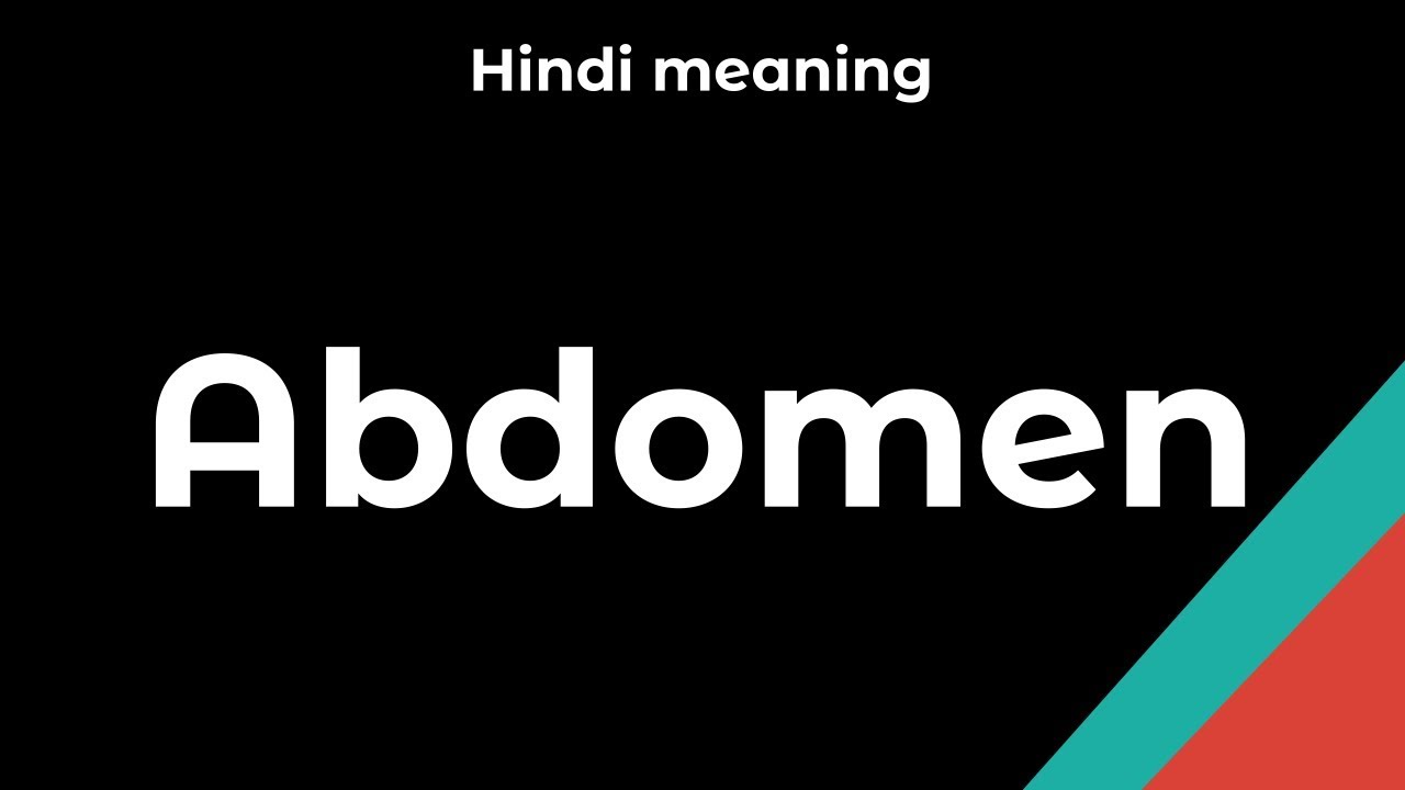 Abdomen What Is The Meaning Of Abdomen In Hindi