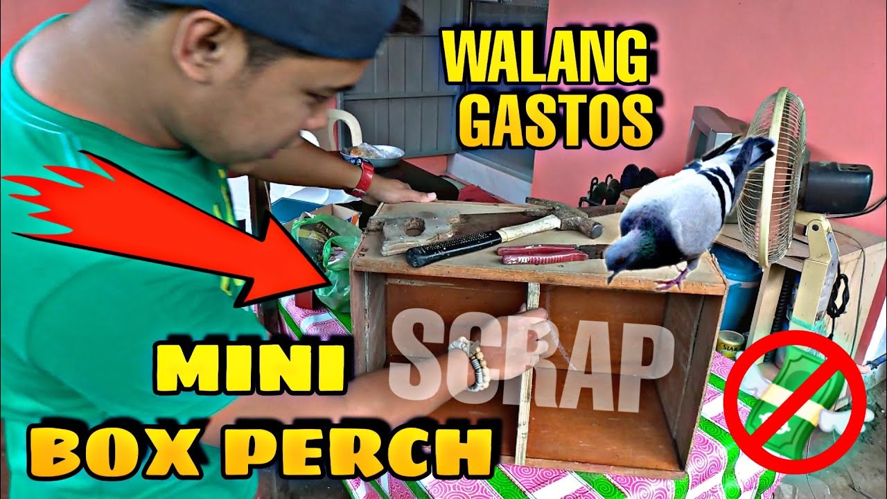 HOW TO BUILD BOX PERCH FOR PIGEONS PART 1 - YouTube