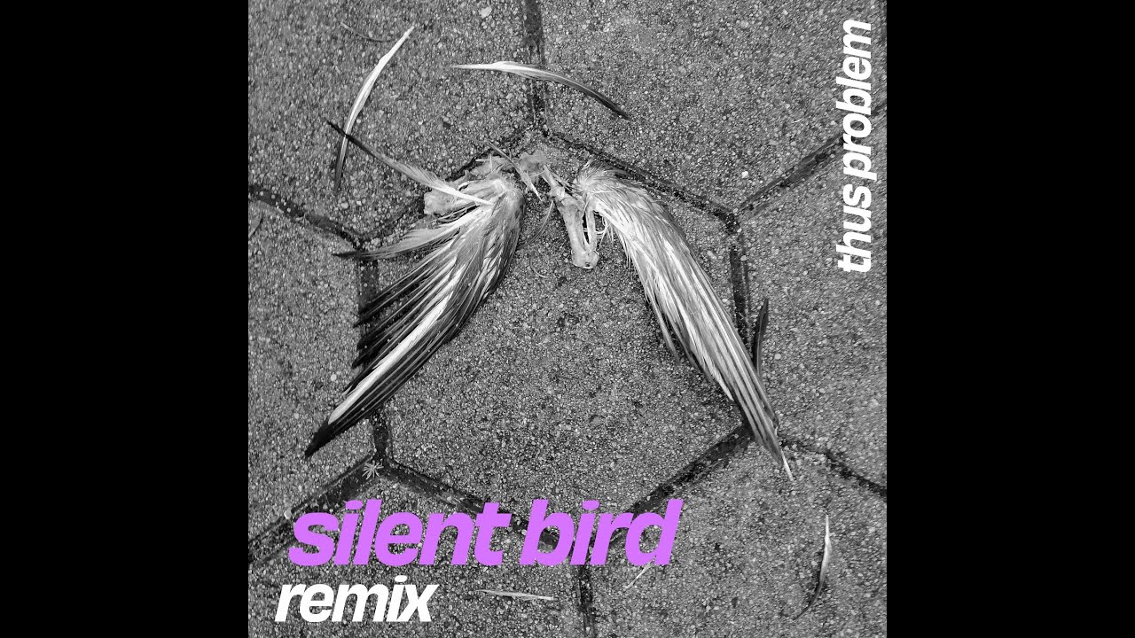 Silent Bird (Zwanie Johnson Remix) - YouTube