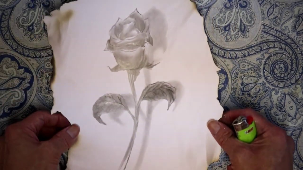 Burn A Rose - Drawing with graphite pencil - YouTube