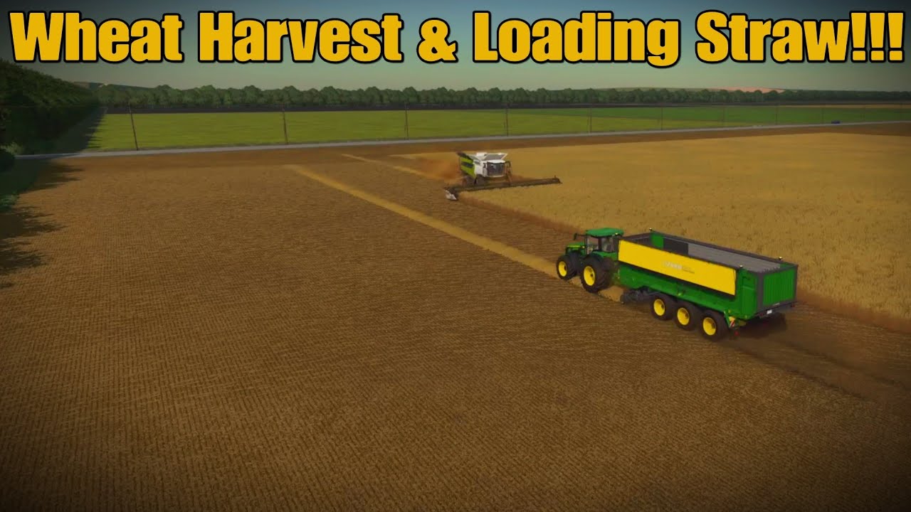 Wymark, Canada: Solo: Episode #4. Wheat Harvested & Stored + Loading ...