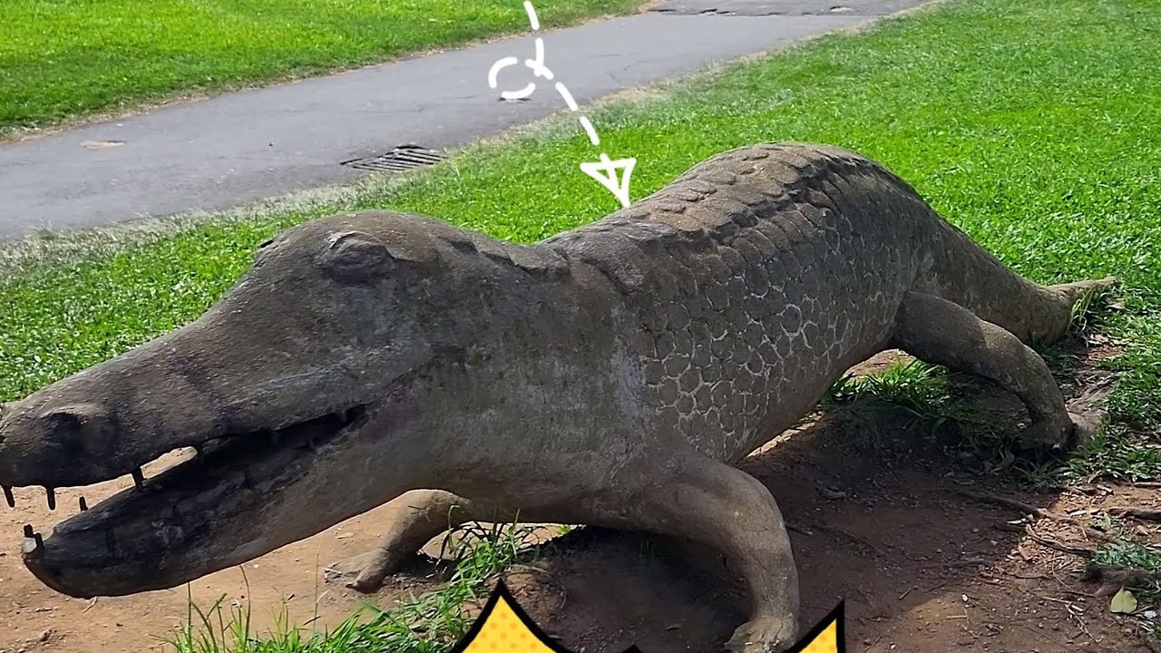 O jacaré do Parque Barigui é fato ou fake? - YouTube