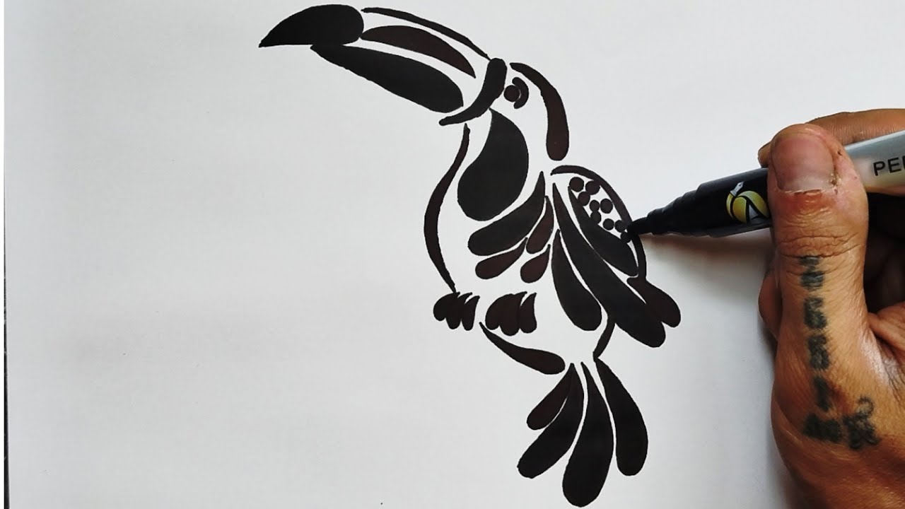 What I Learned from Drawing 10 Parrots a Day for 30 Days - YouTube