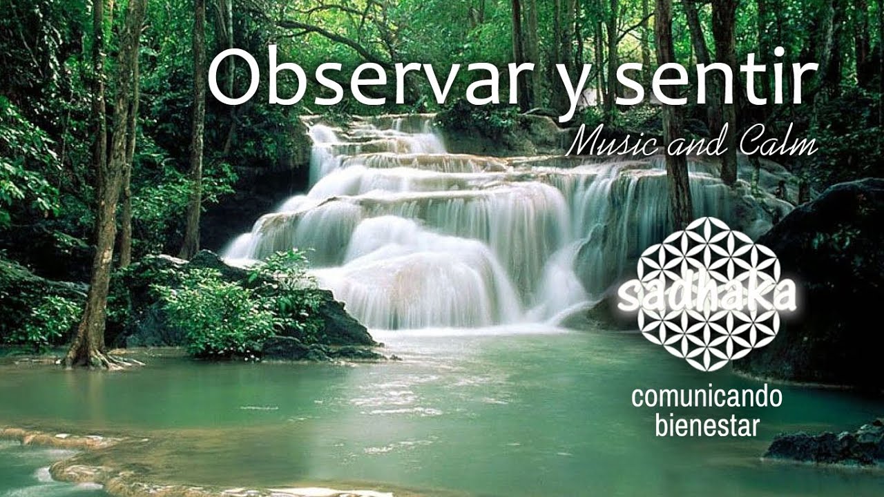 Escucha y observa para comprender. Sentir la música, observar la ...