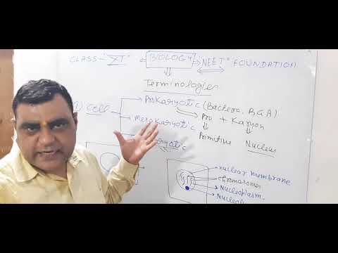 Prokaryotic,Eukaryotic &Mesokaryotic Cells - YouTube