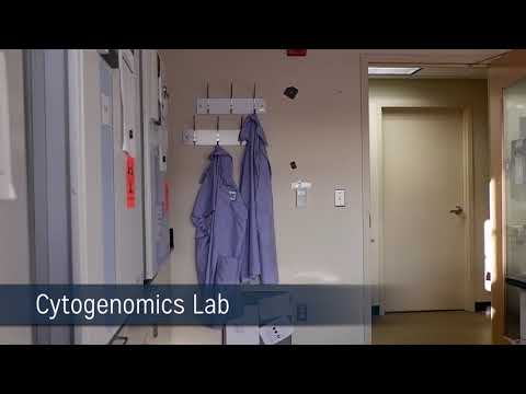 Laboratory Genetics & Genomics Program - YouTube