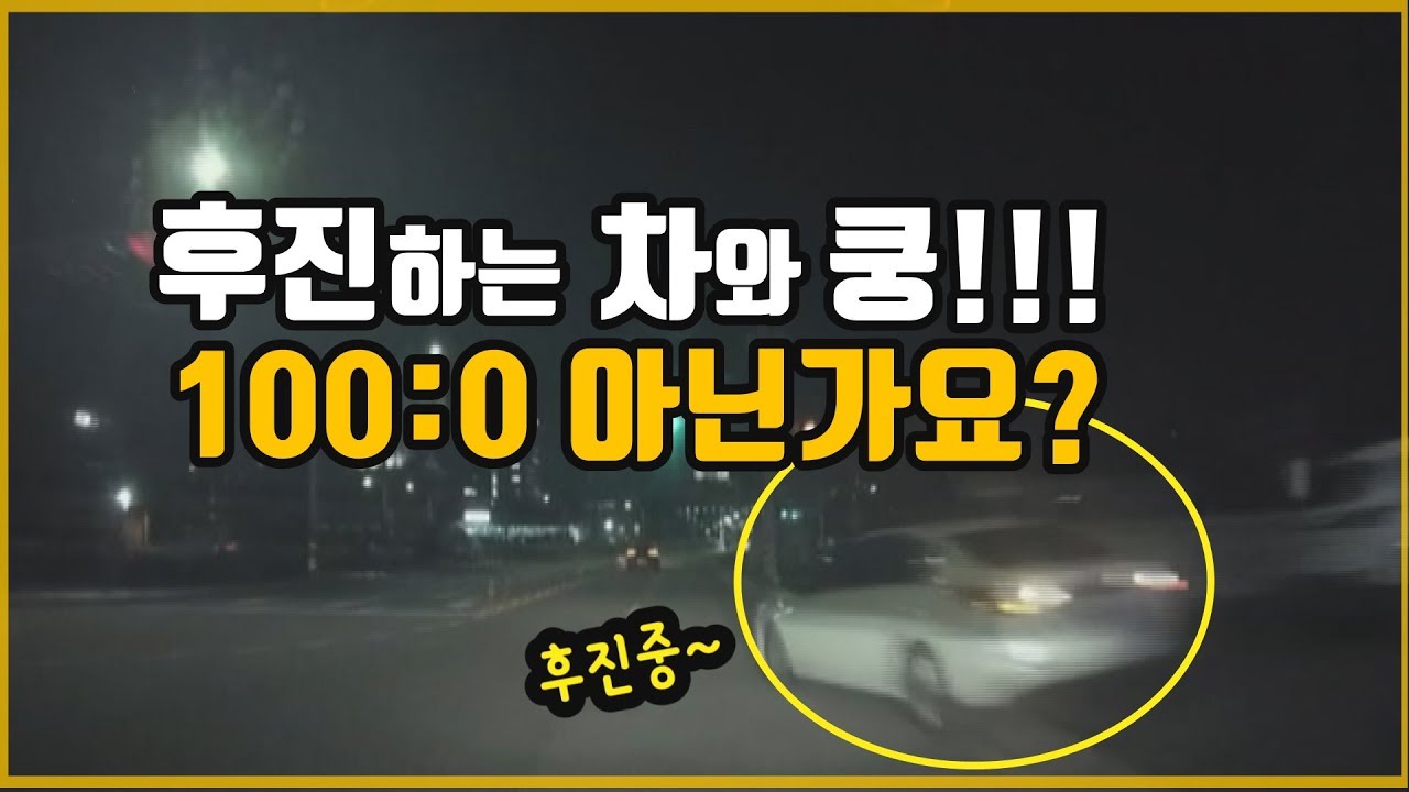 3661회 3499회 투표결과 직진신호에 정상적으로 진행하는데 갓길에 서 있던 차가 후진주차하려고 앞바퀴가 2차로 침범하는