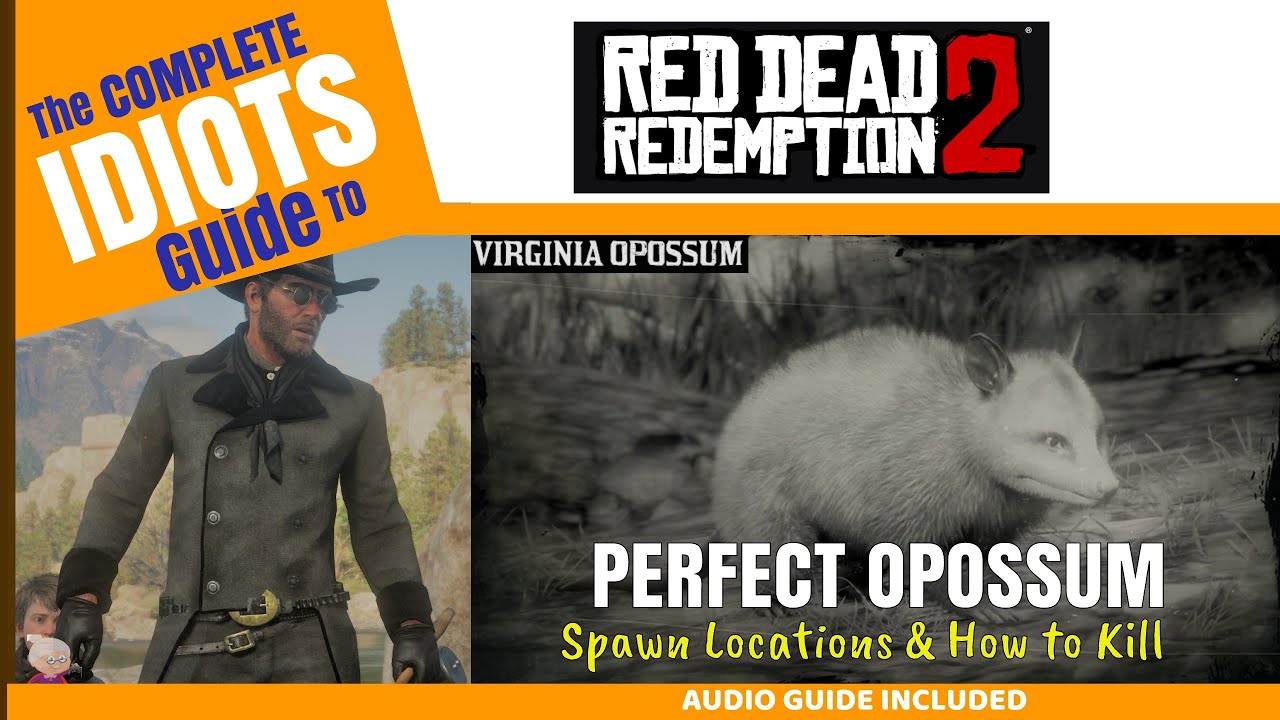 Perfect Apossum Hunting - Idiots Guide to RDR2 - YouTube