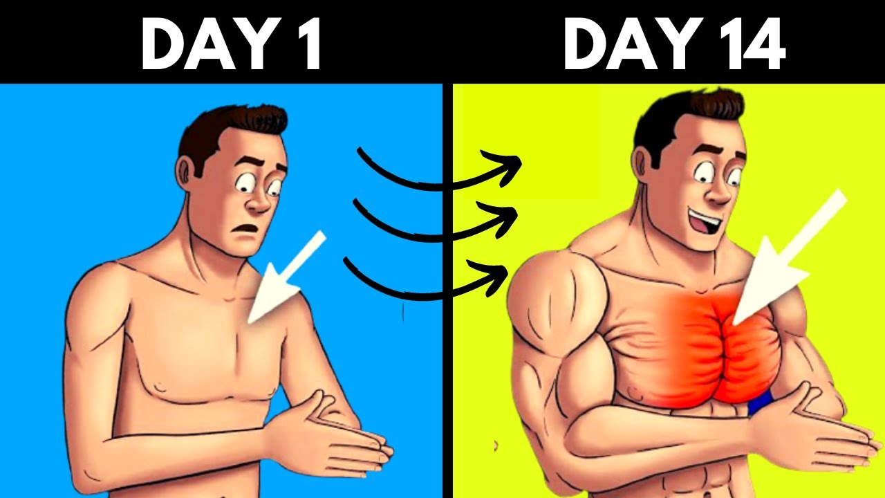 Maximize Your Chest Gains with These Top 6 Effective Workout Exercises ...