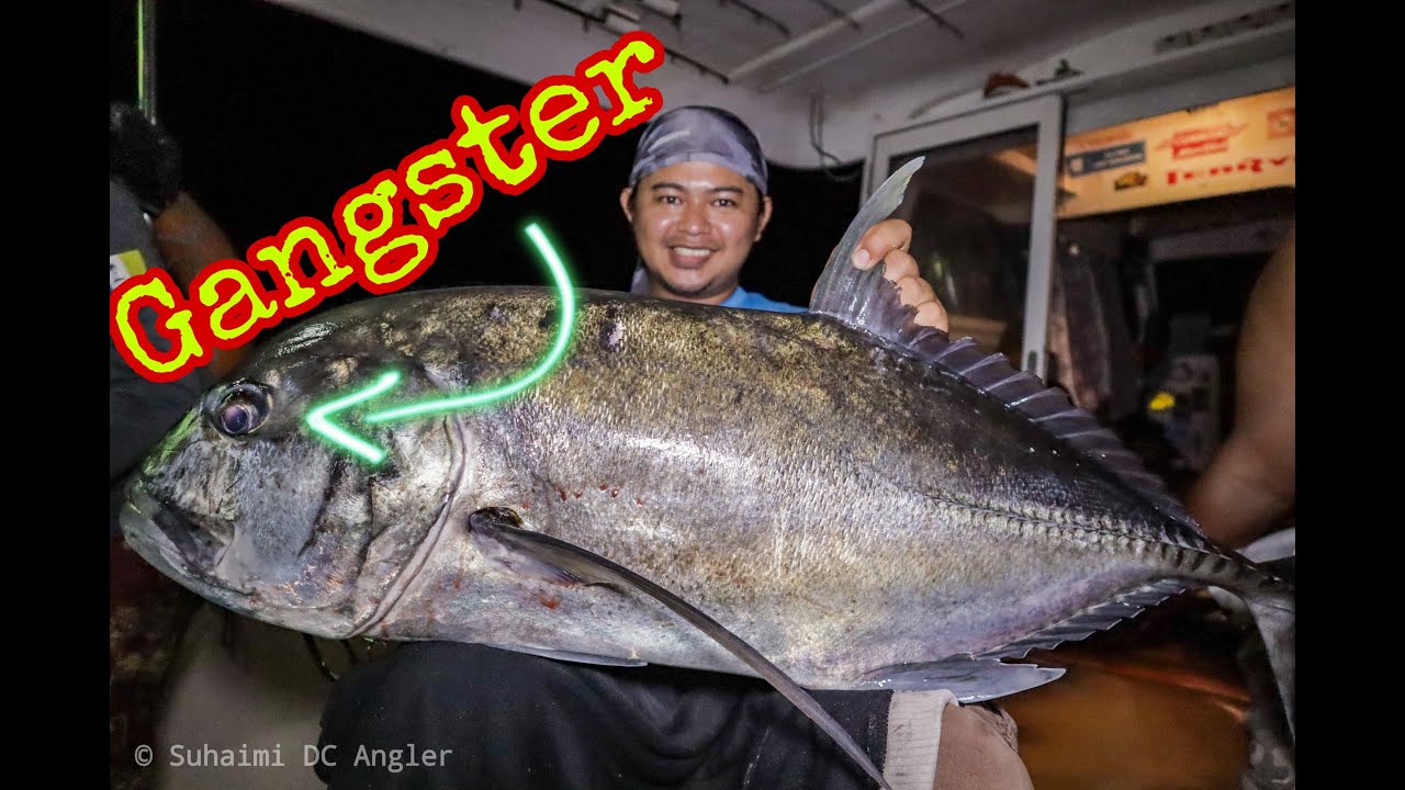 Asakan Giant Trevally | Tukun Perak Jigging & Popping - YouTube