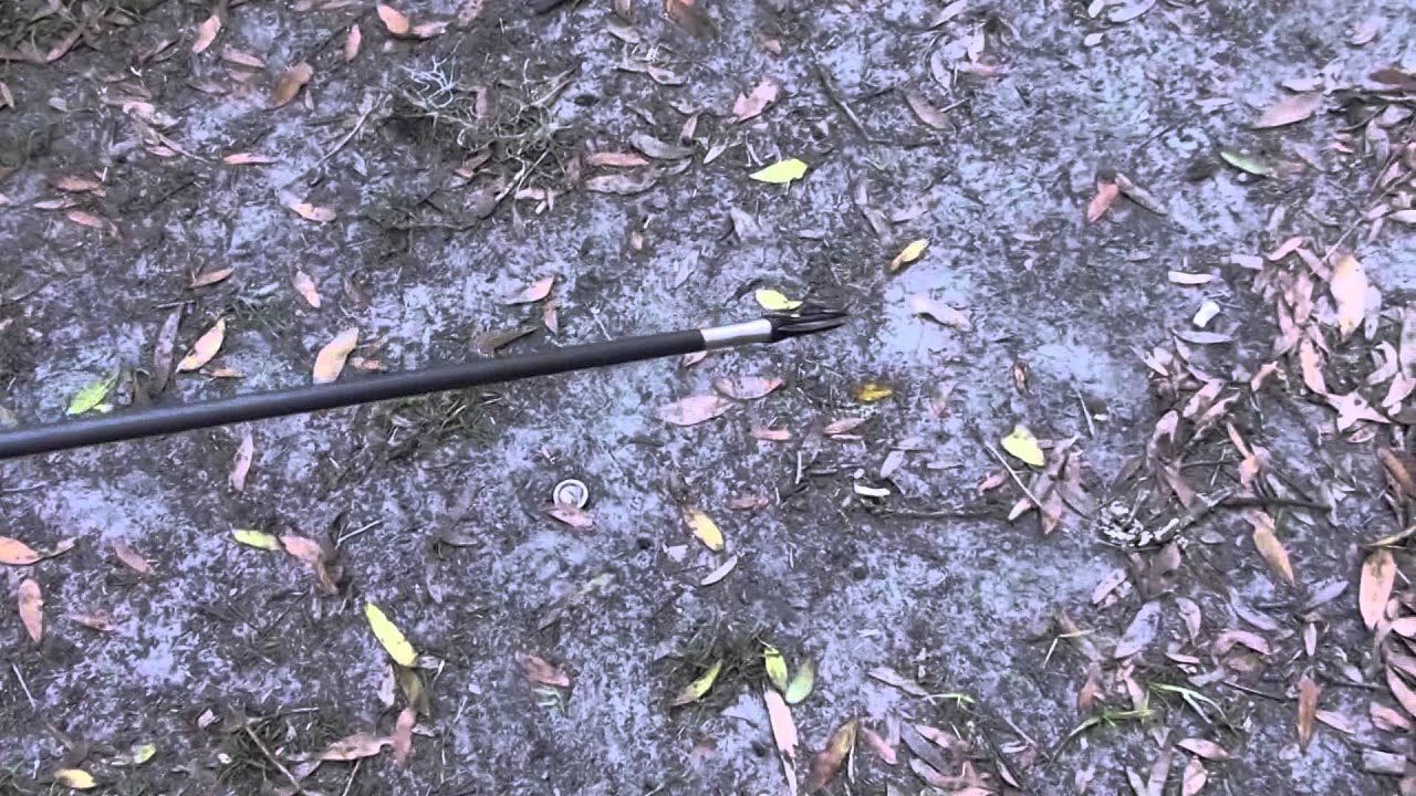 Copy of 200 lb boar HT1 570 grain arrow - YouTube