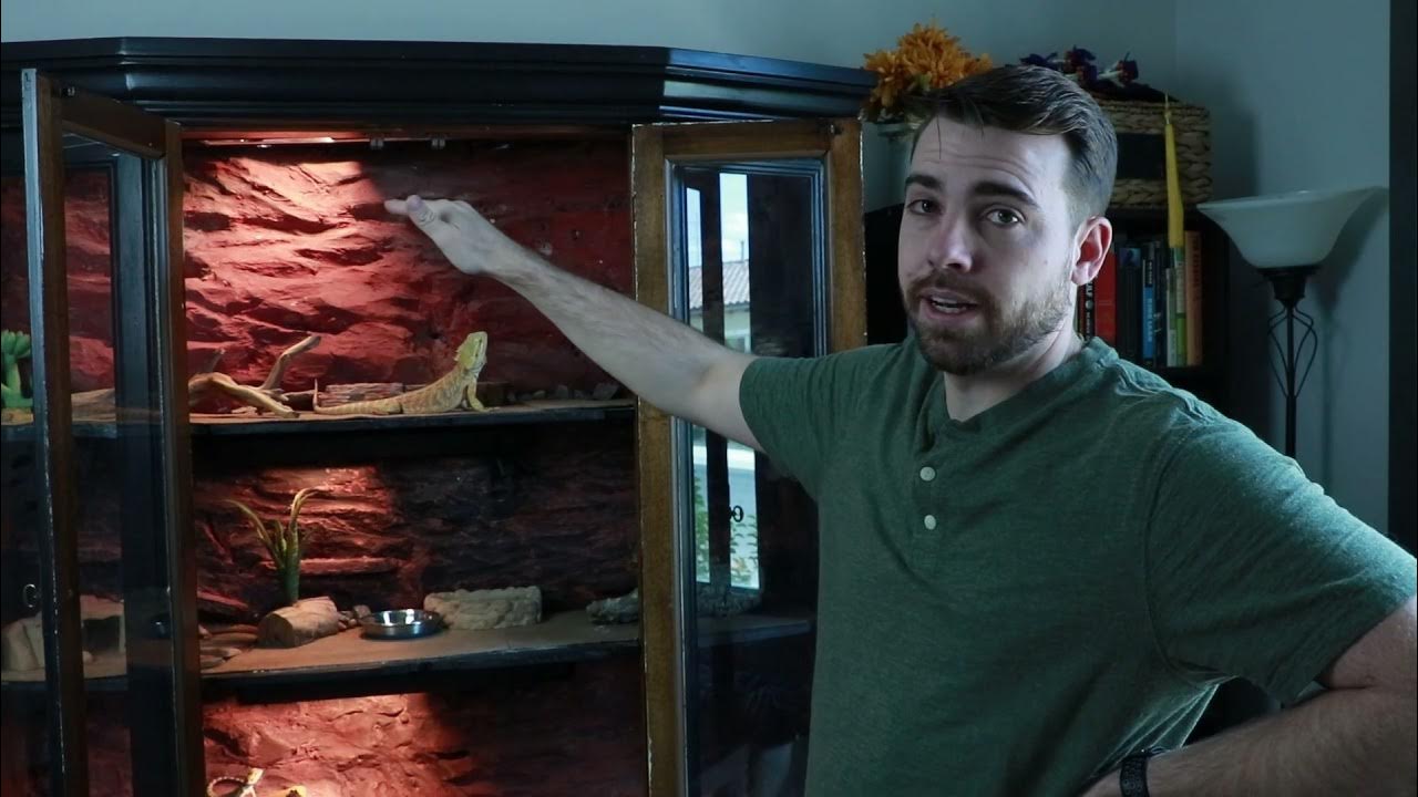 Custom Bearded Dragon Enclosure - DIY - YouTube