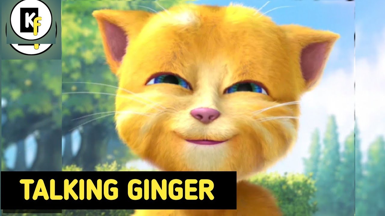 Talking Ginger - YouTube
