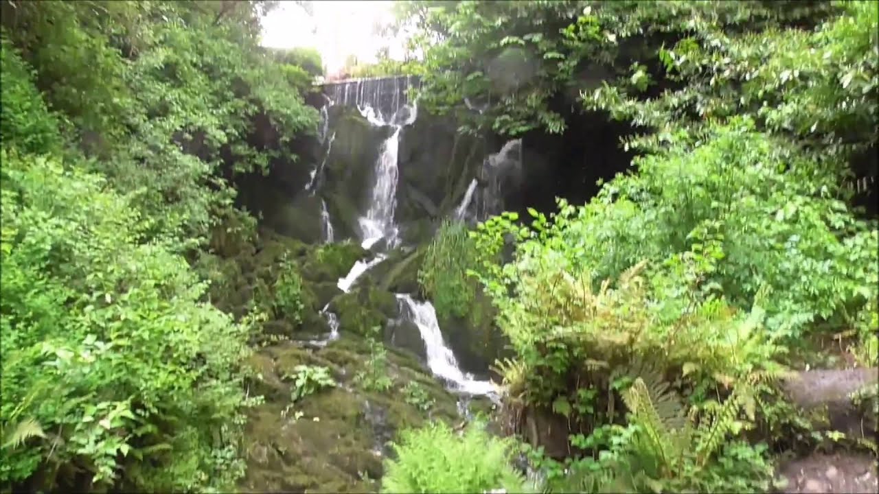 Crawfordsburn Country Park Ravine and Waterfall - YouTube