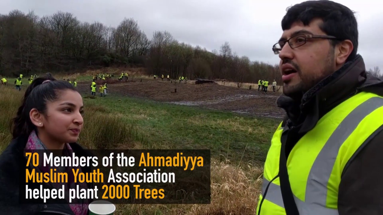 MKA News Tree Planting in Snipe Clough - YouTube