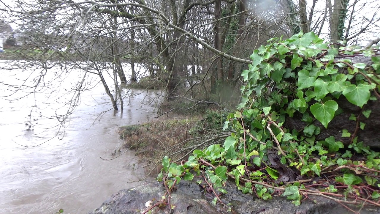 Storm Dennis february 16 2020 river taff on flood alert cardiff Flood ...