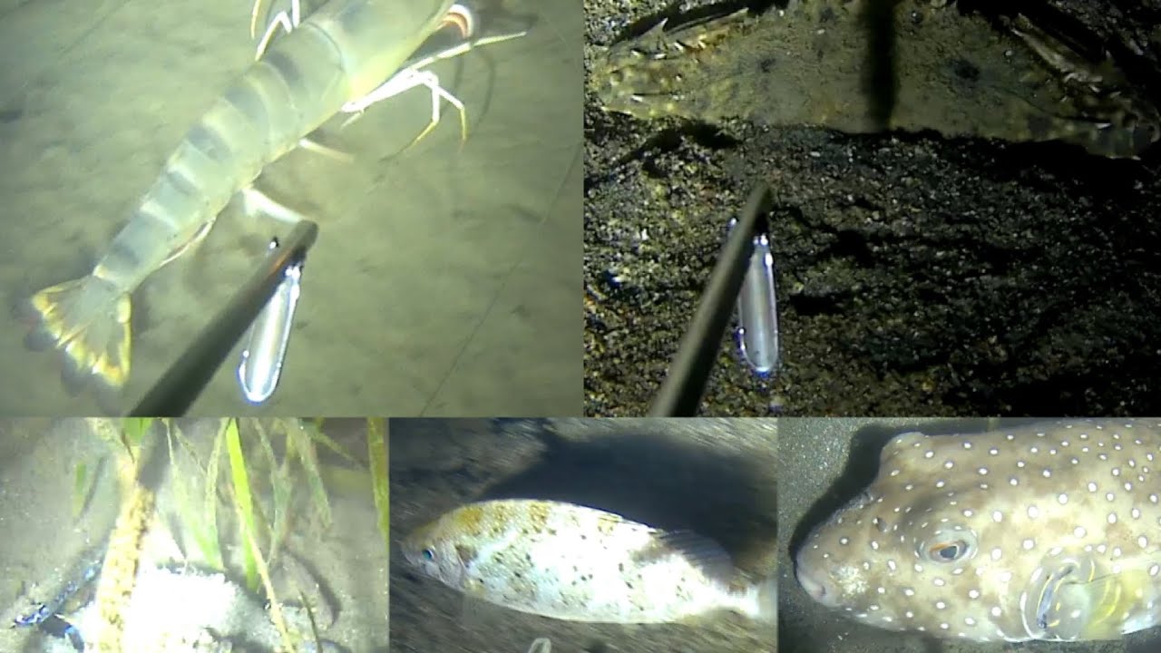 LUKON O HIPON? ano tawag nito sa inyo guys? - YouTube