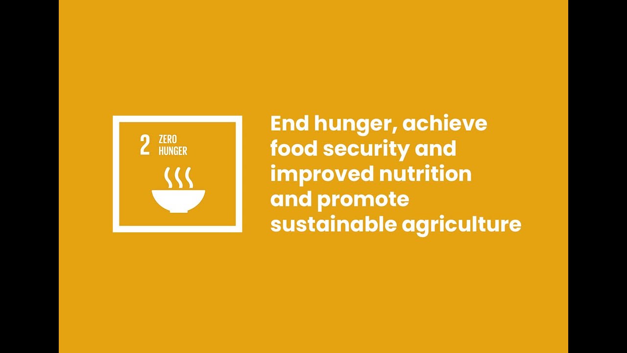 SDG 2: ZERO HUNGER - YouTube