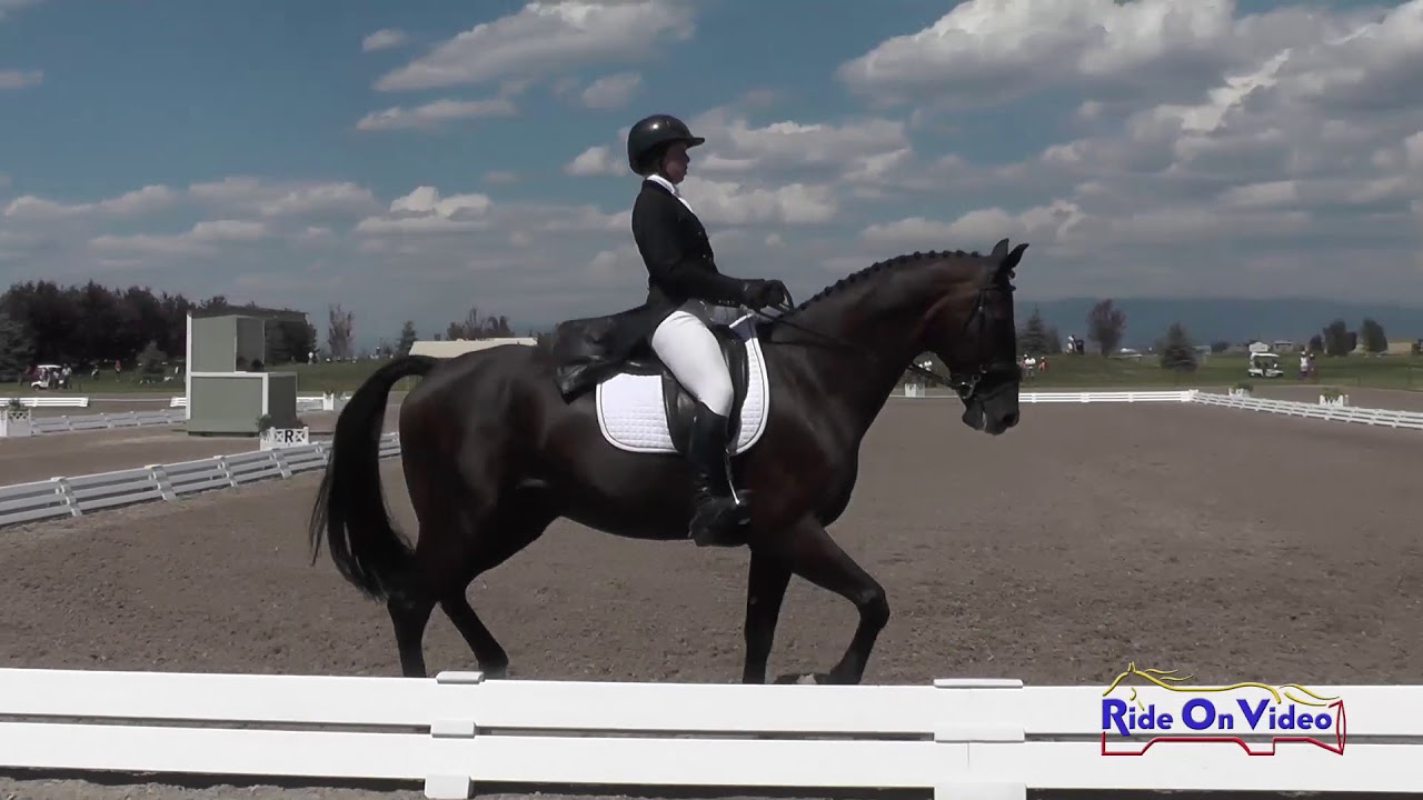 734D Gigi Hogan on Samba Dromo NAJYRC CCI1* Dressage Rebecca Farm July ...