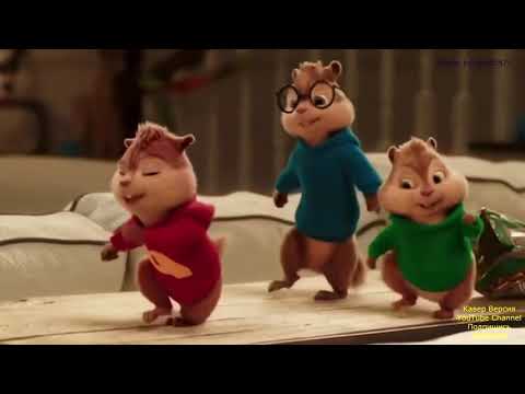 Alvin sincablar ego