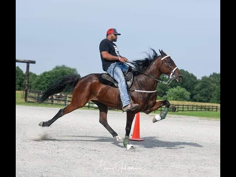 Speed Racking at it's best! - YouTube