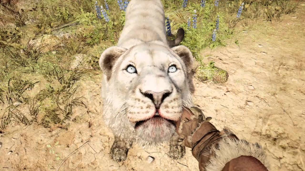Far Cry Primal|All tameable animals - YouTube
