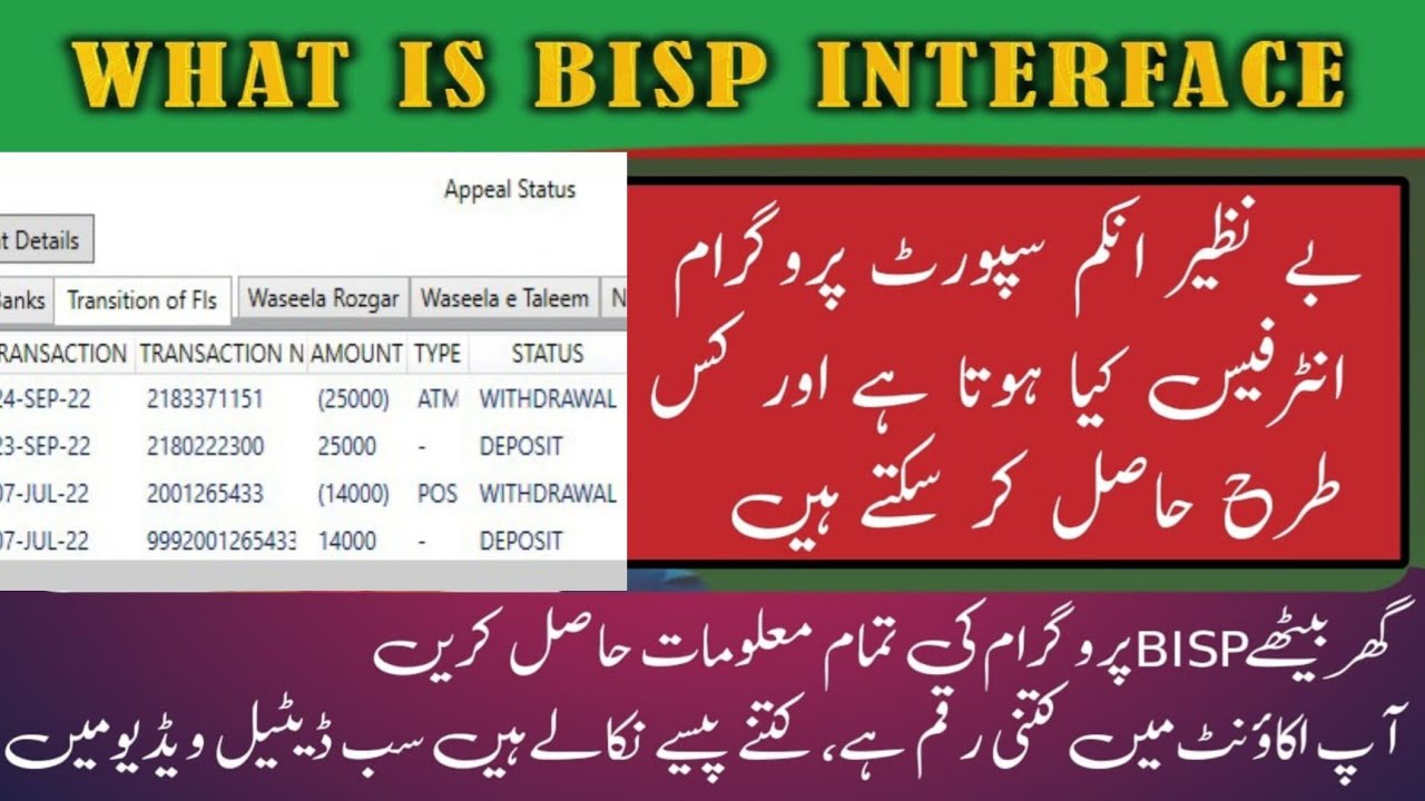 BISP NEW UPDATE 2023 || BISP interface kia he| What is BISP interface ...