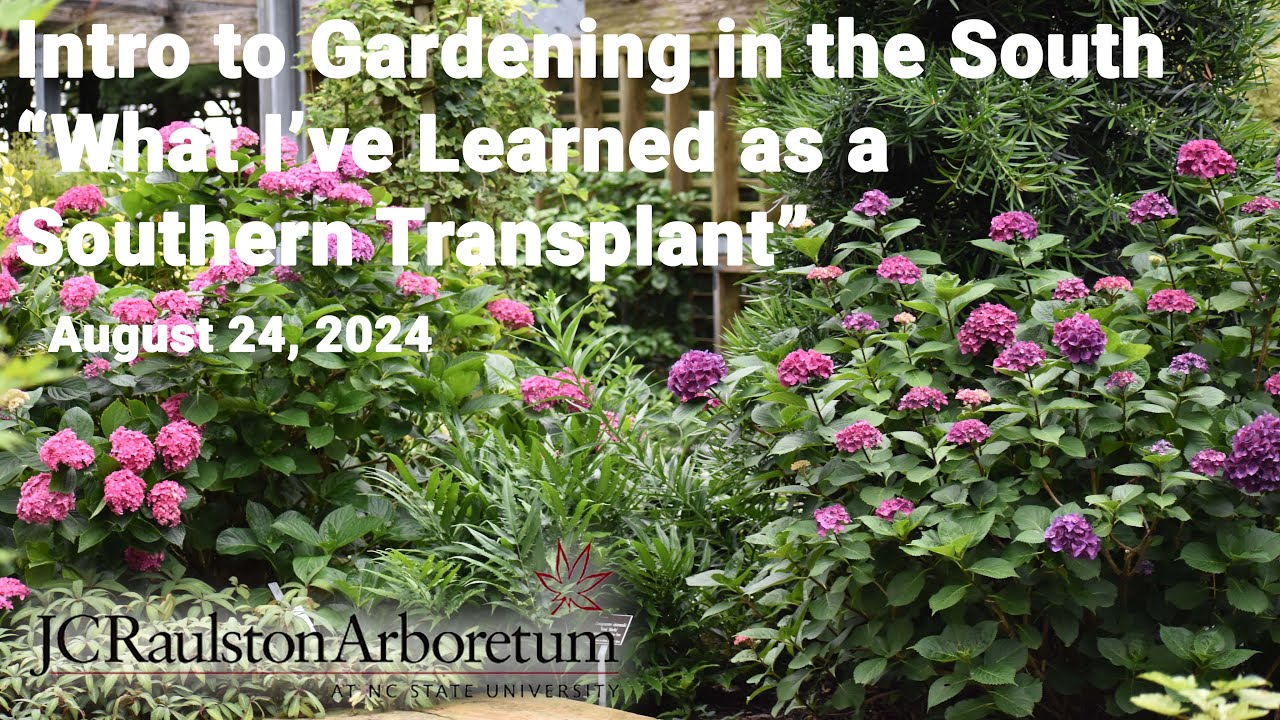Intro to Gardening in the South - "What I've Learned as a Southern ...