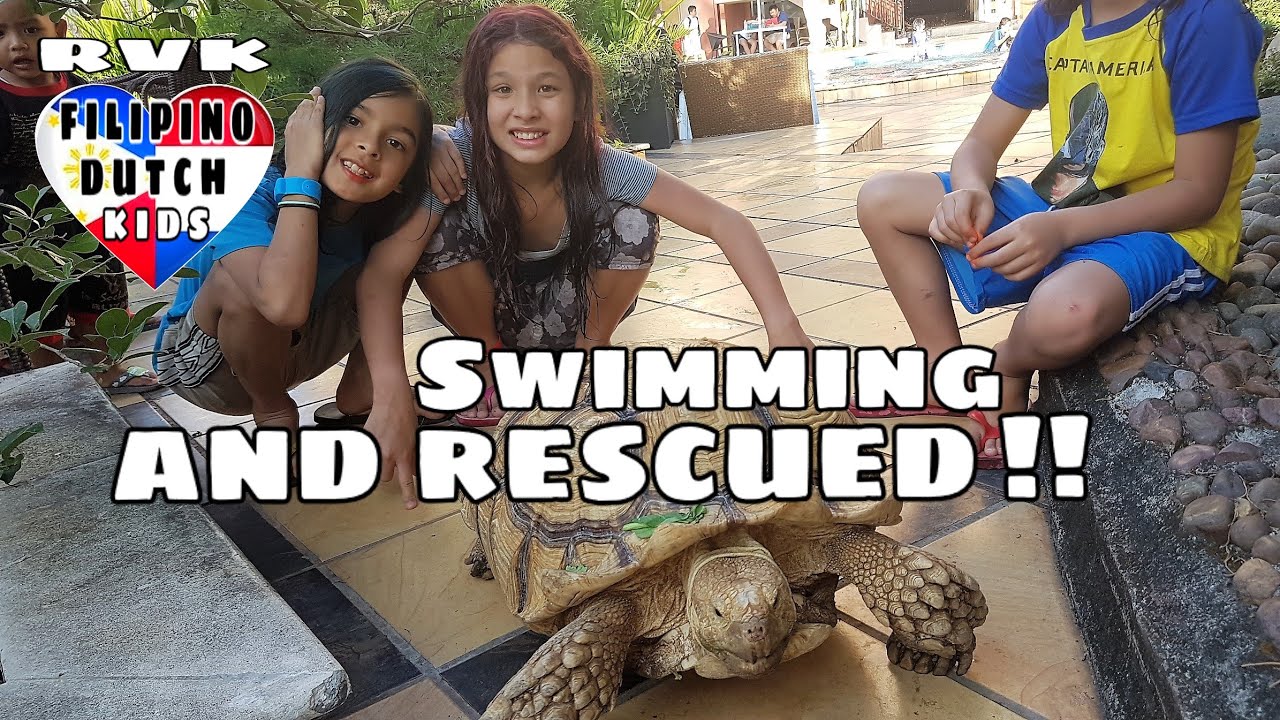 Nag swimming....FUN POOL DAY for the kids! #249 👨‍👩‍👧‍👦 RodVivKids ...