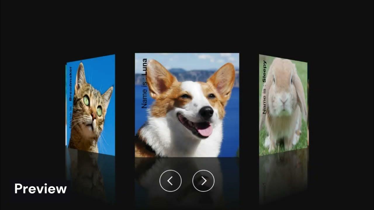 3D Image Gallery in HTML CSS & Javascript - YouTube